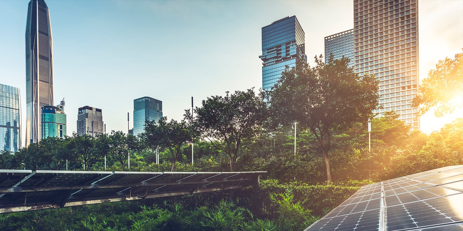 Mintz Advises Spring Lane Capital on New Approach | Mintz