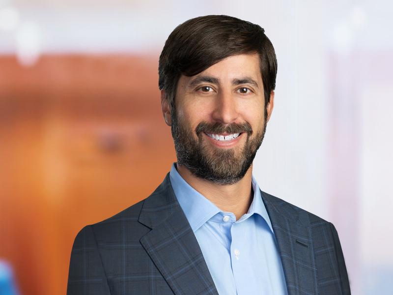 Lateral Members | Mintz