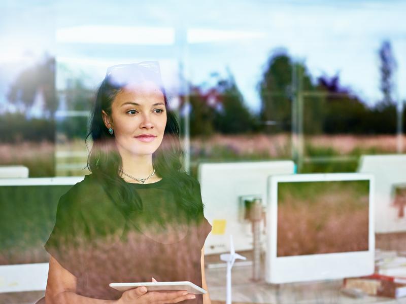 Environmental (ESG) | Mintz